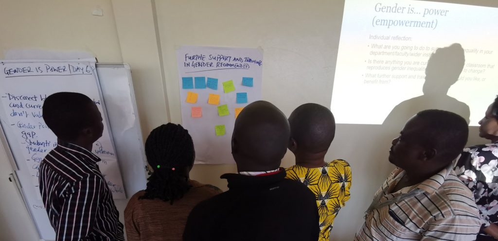 Gender-responsive pedagogy in higher education: How we are approaching ...